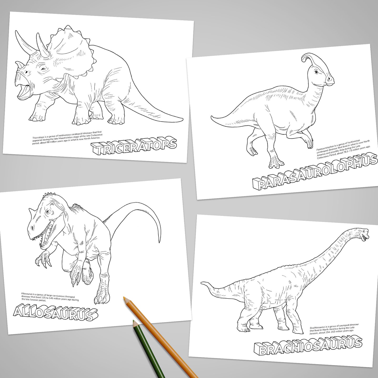 30 Dinosaurs Coloring Book, Printable Art for Kid and Teens - INSTANT ...
