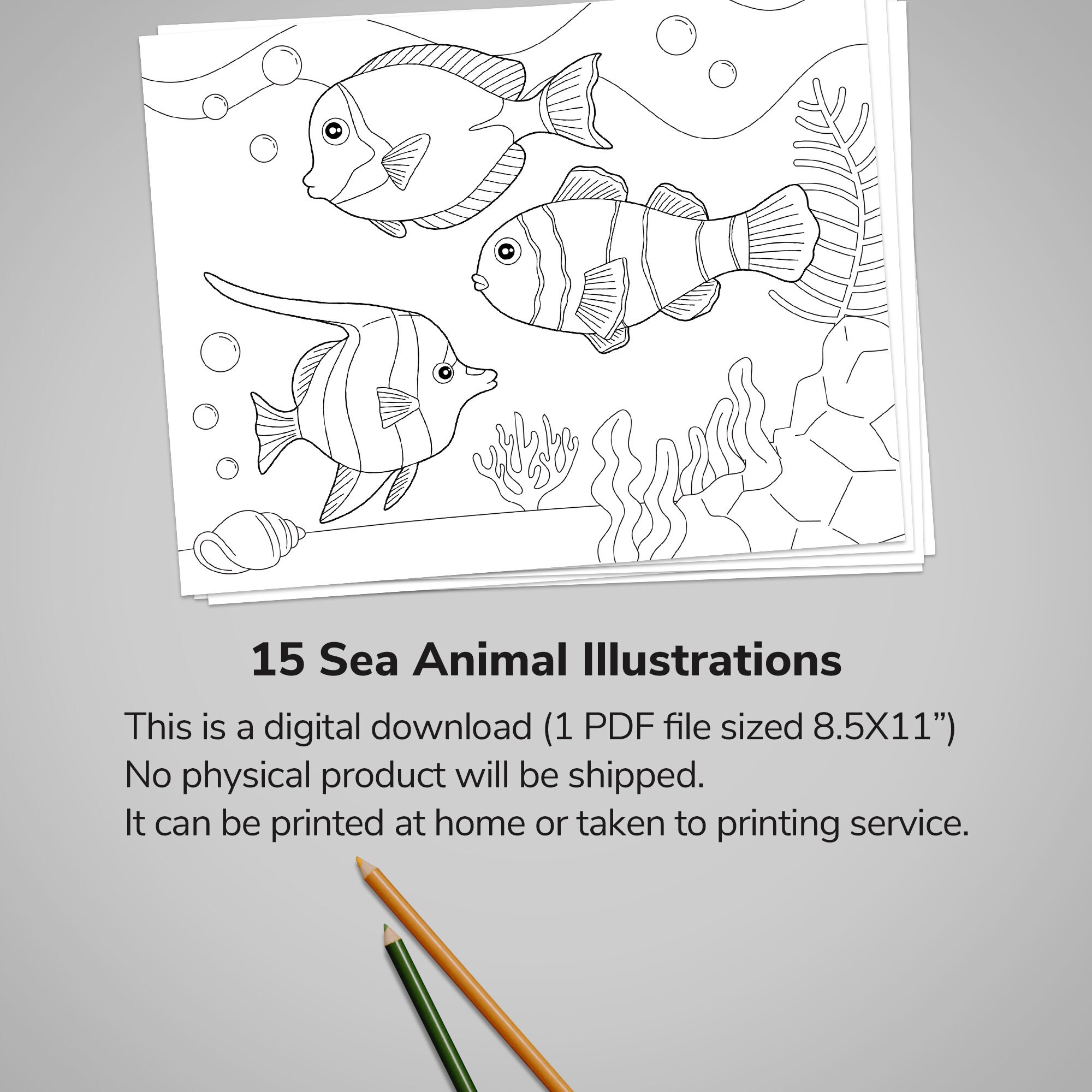 15 Sea Animals Coloring Book Ocean Animal Coloring Pages - Etsy
