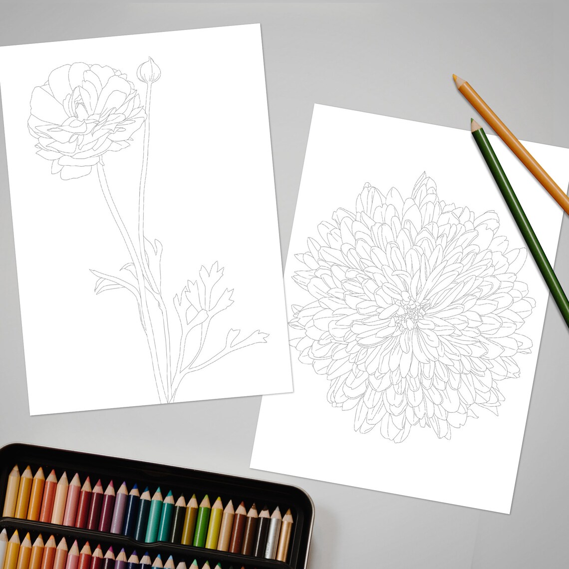 15 Flower Coloring Book Floral Coloring Pages Fine Art - Etsy