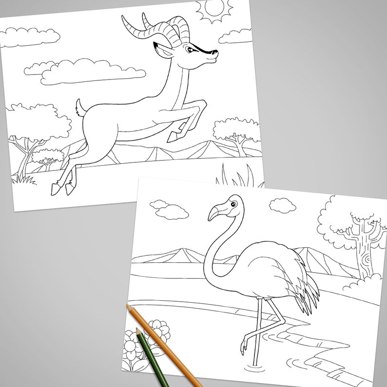 15 Animals Coloring Book, African Animal Coloring Pages, Printable Art ...