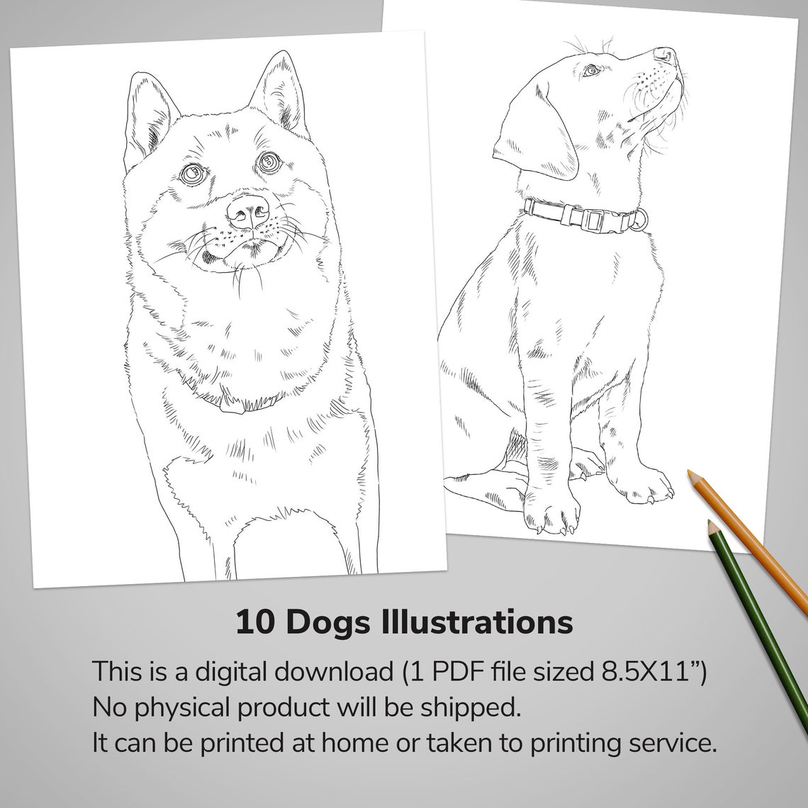 10 Realistic Dog Coloring Book, Puppy Coloring Pages, Dogs Coloring ...