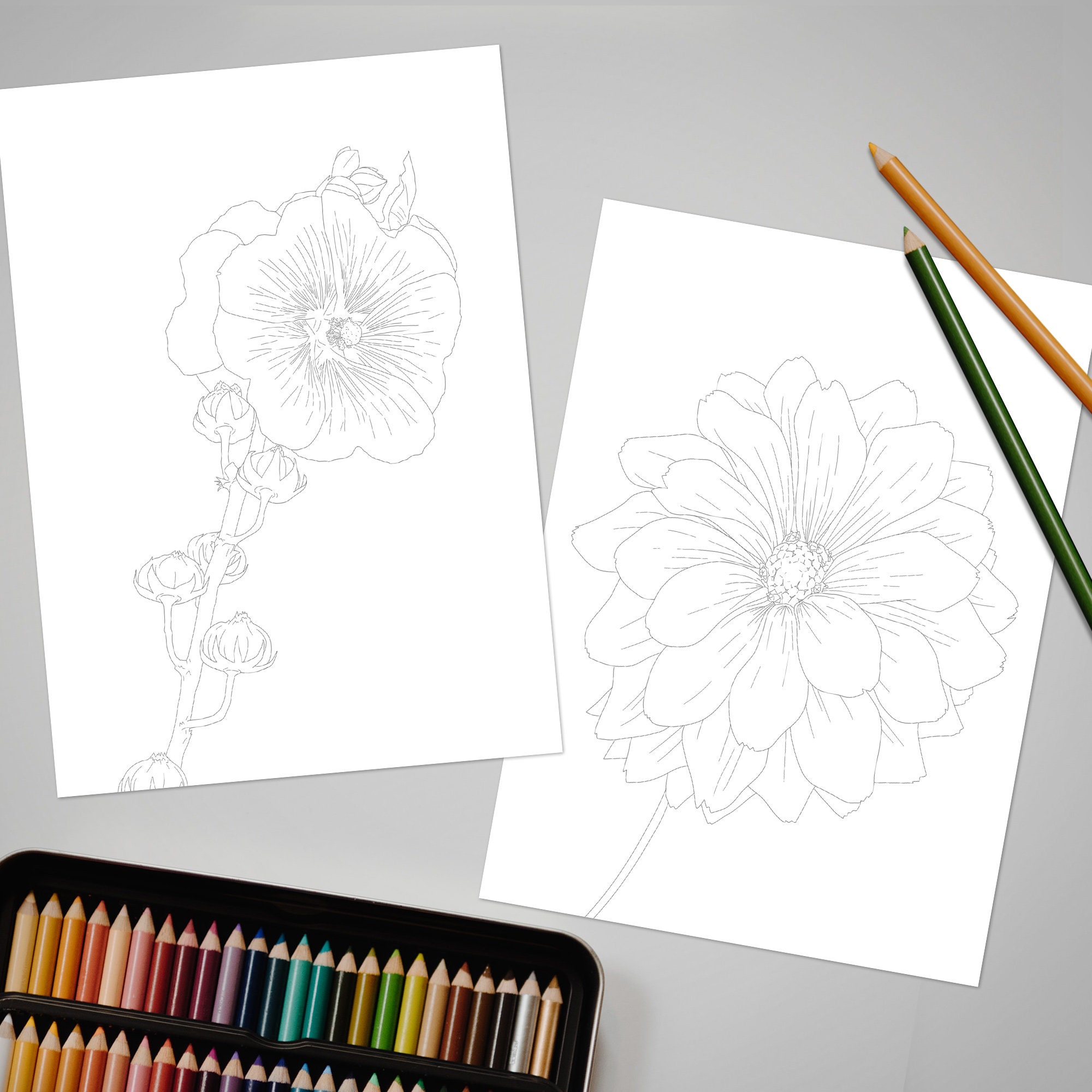 15 Flower Coloring Book Floral Coloring Pages Fine Art - Etsy