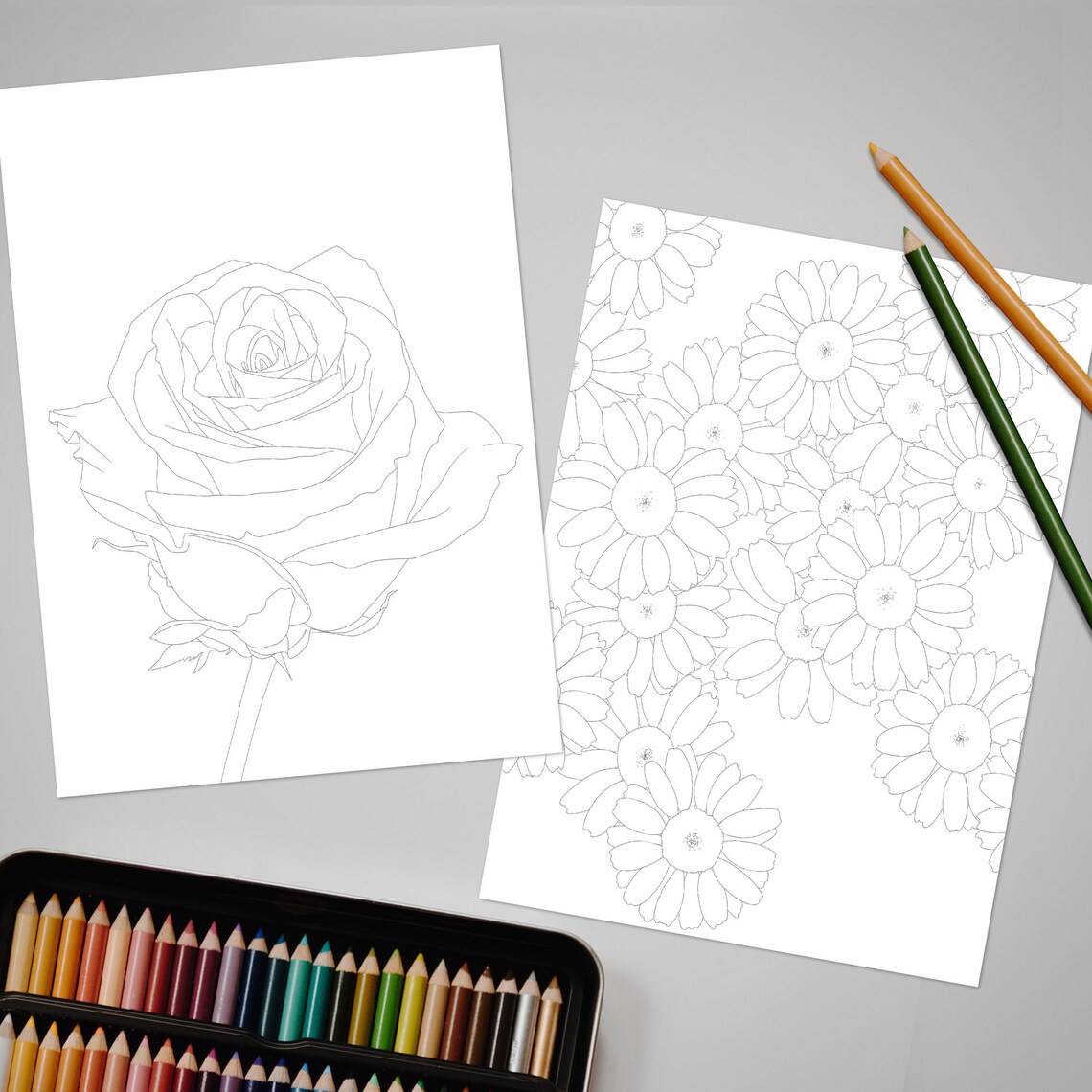 15 Flower Coloring Book Floral Coloring Pages Fine Art - Etsy