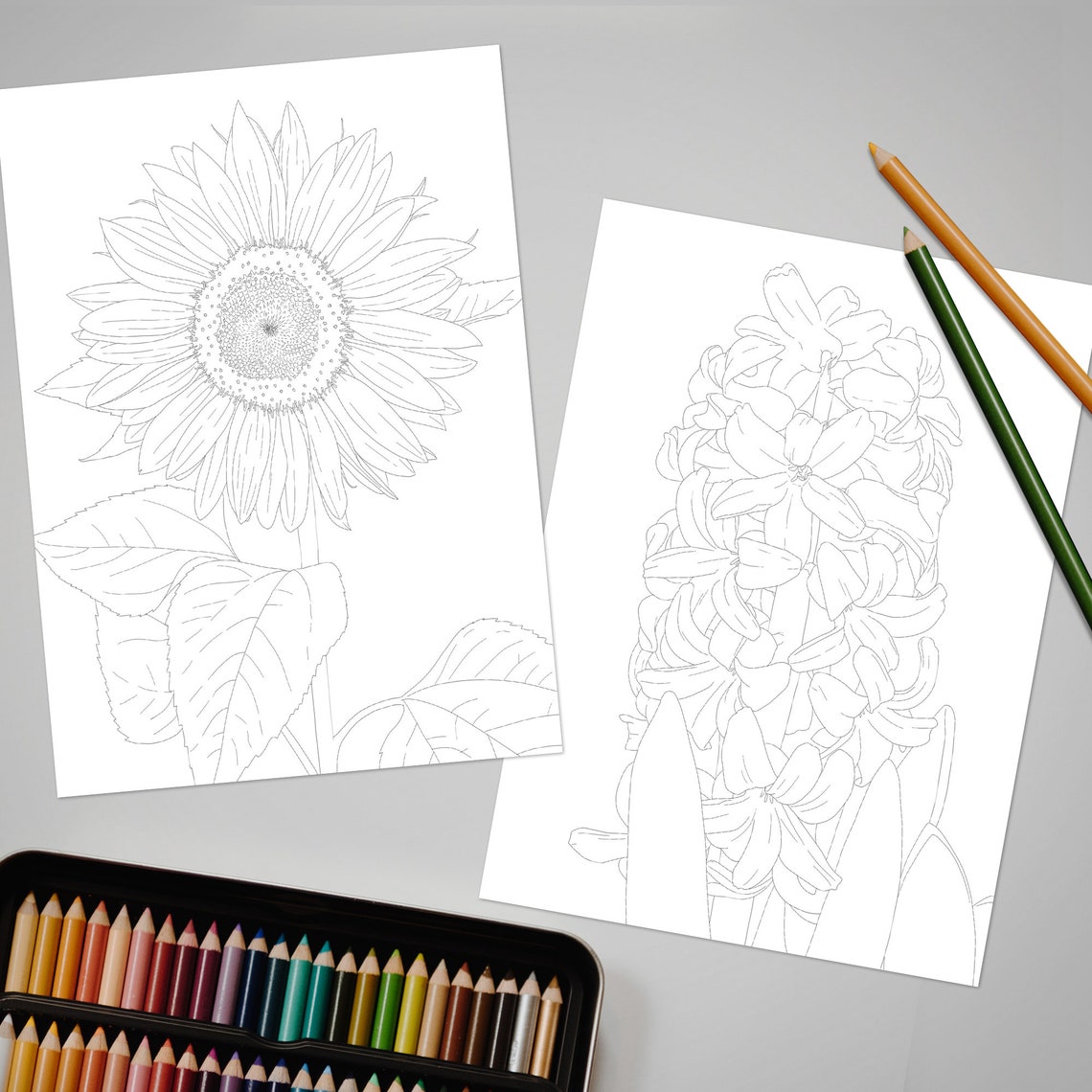 15 Flower Coloring Book Floral Coloring Pages Fine Art - Etsy