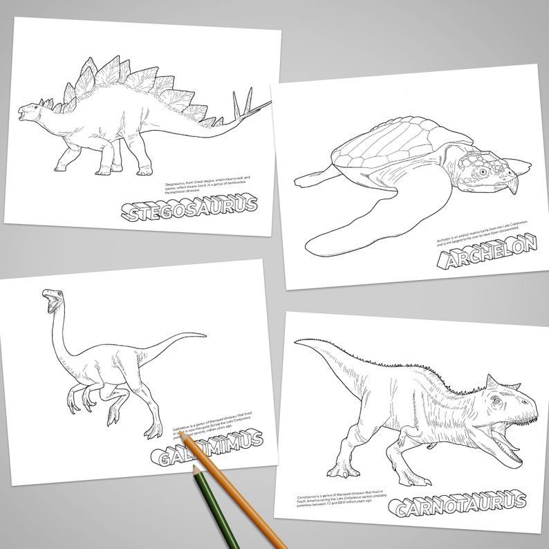 30 Dinosaurs Coloring Book, Printable Art for Kid and Teens INSTANT ...