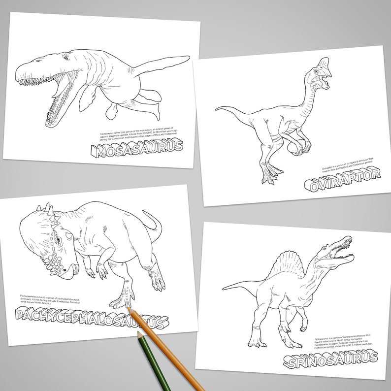 30 Dinosaurs Coloring Book, Printable Art for Kid and Teens - INSTANT ...