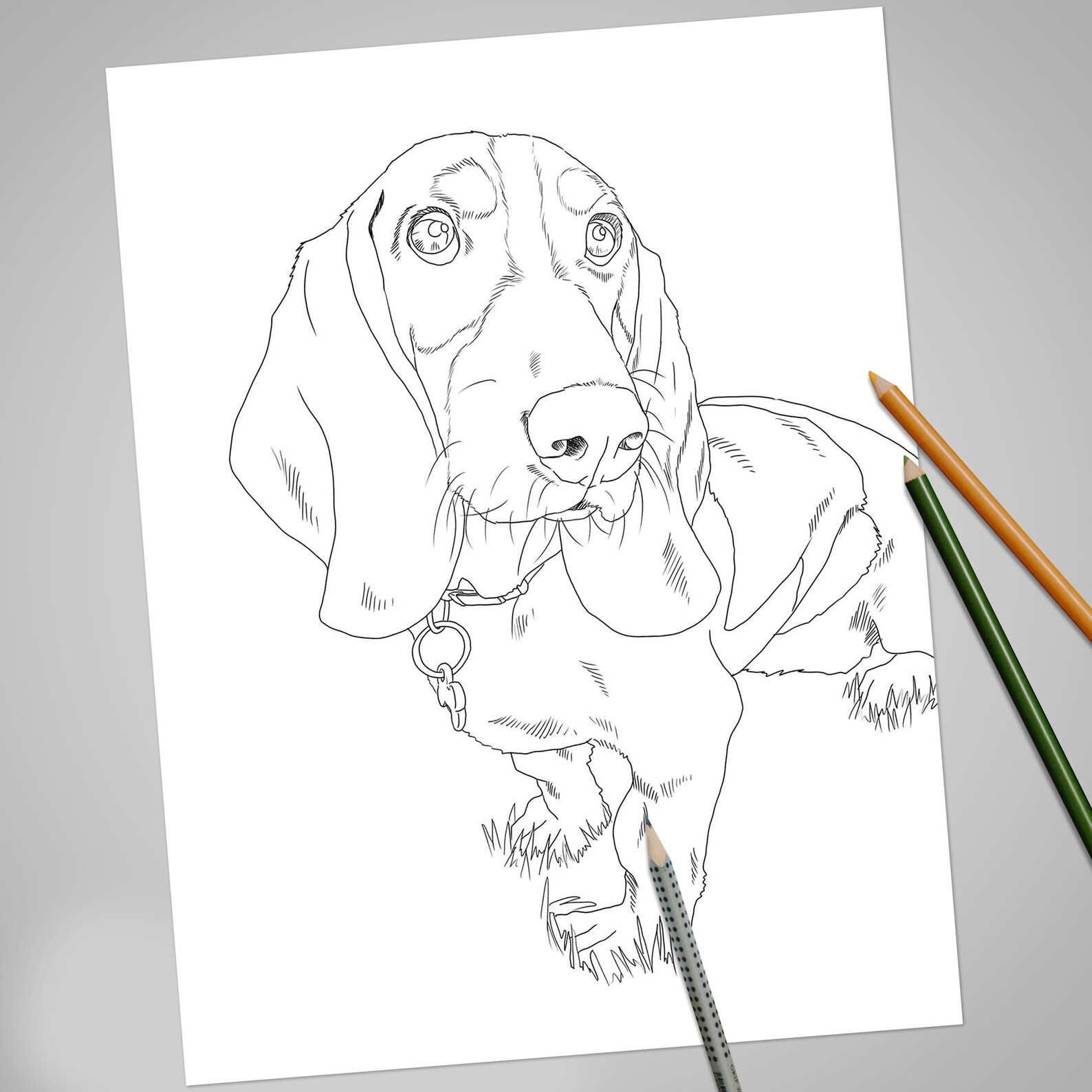 10 Realistic Dog Coloring Book, Puppy Coloring Pages, Dogs Coloring ...