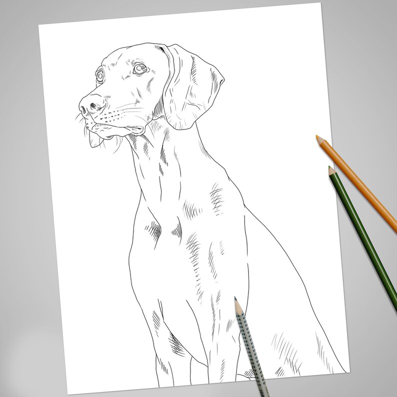 10 Realistic Dog Coloring Book, Puppy Coloring Pages, Dogs Coloring ...