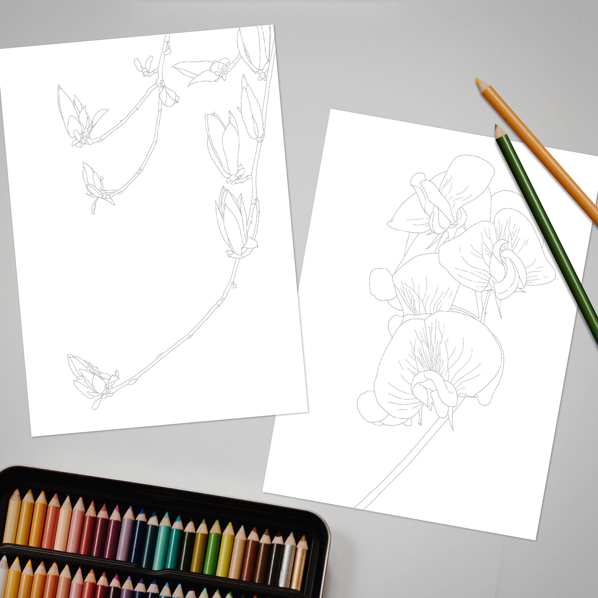 15 Flower Coloring Book Floral Coloring Pages Fine Art - Etsy