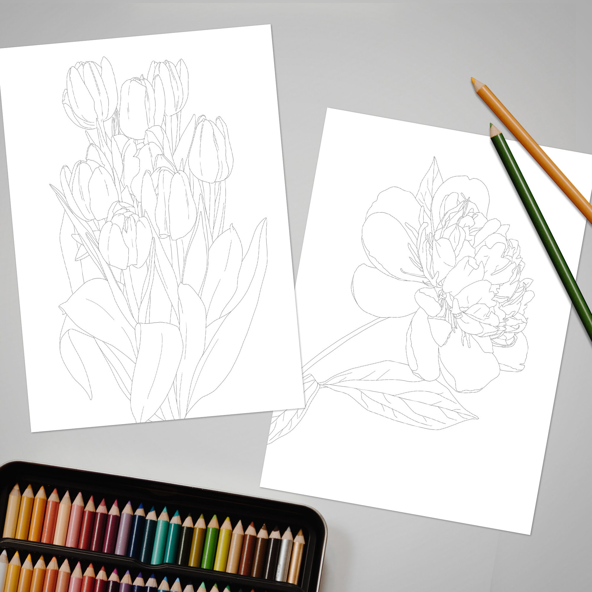 15 Flower Coloring Book Floral Coloring Pages Fine Art - Etsy