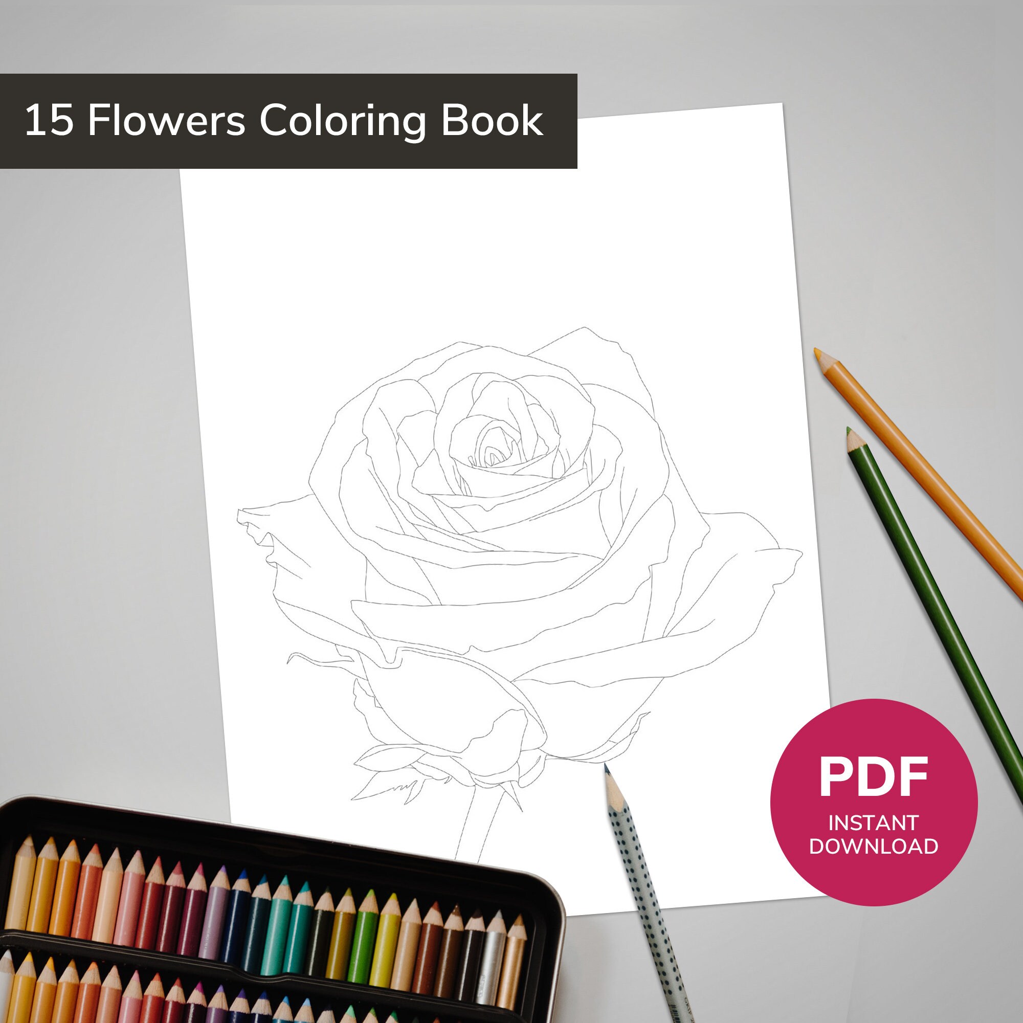 15 Flower Coloring Book Floral Coloring Pages Fine Art - Etsy