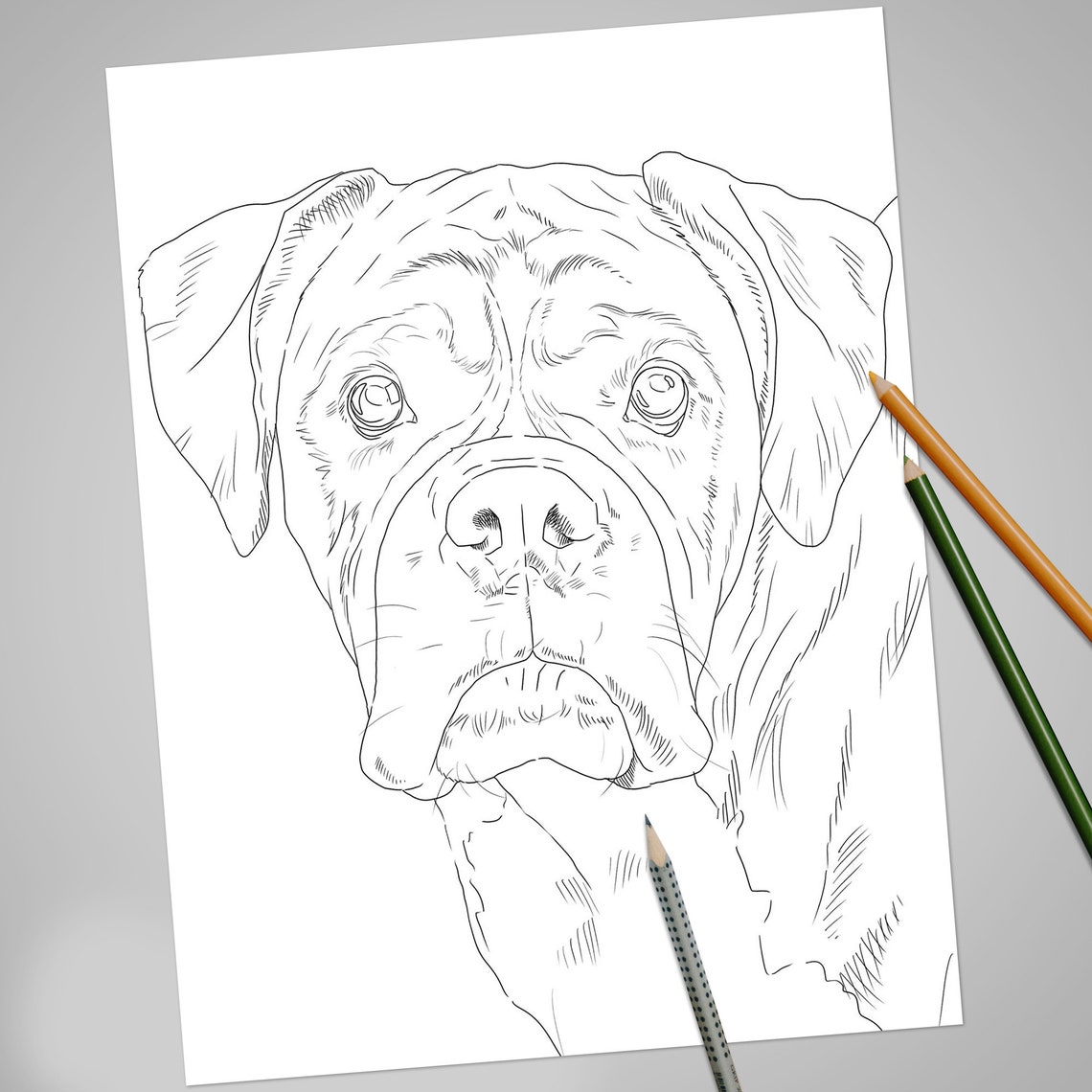 10 Realistic Dog Coloring Book, Puppy Coloring Pages, Dogs Coloring ...