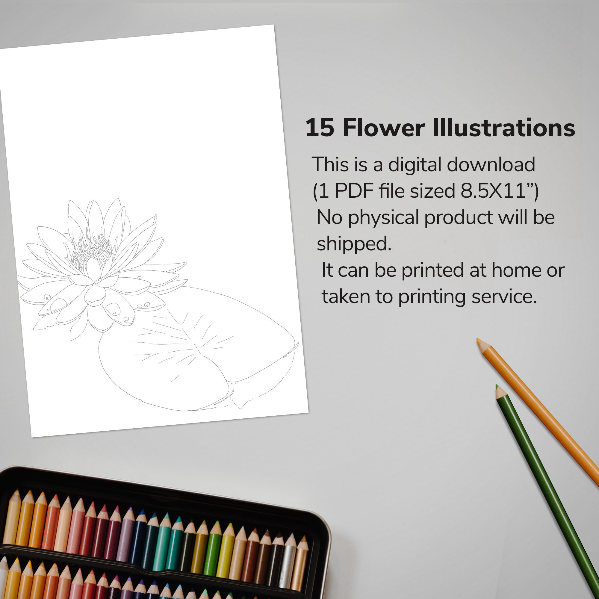 15 Flower Coloring Book Floral Coloring Pages Fine Art - Etsy