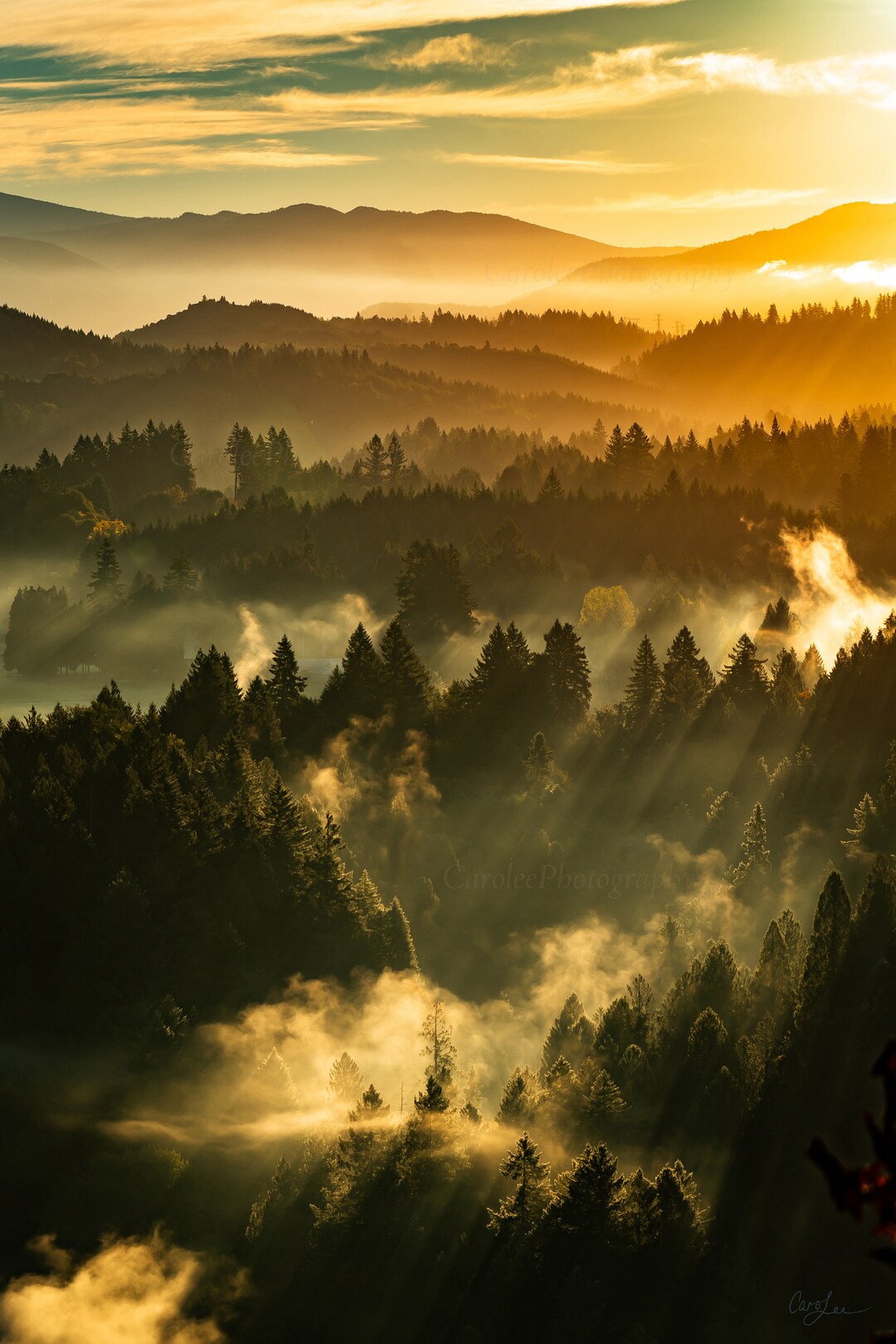 Jonsrud Viewpoint Sunrise Photograph, Picture, Fall Foliage, Mt. Hood ...
