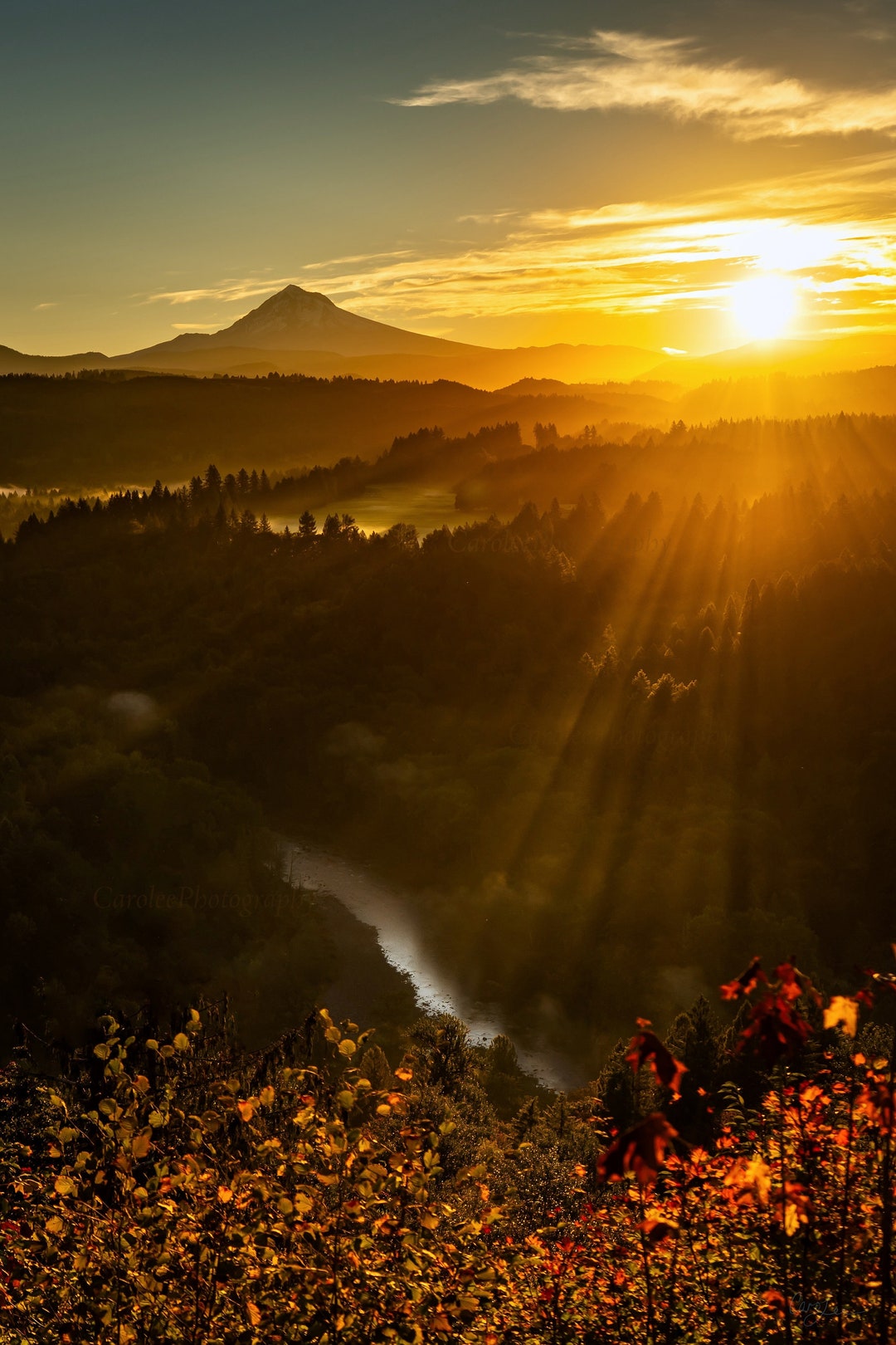 Jonsrud Viewpoint Sunrise Photograph, Picture, Fall Foliage, Mt. Hood ...