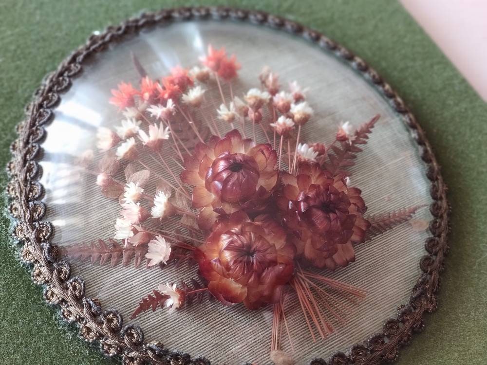 Curved Glass Dried Flower Frame - Etsy