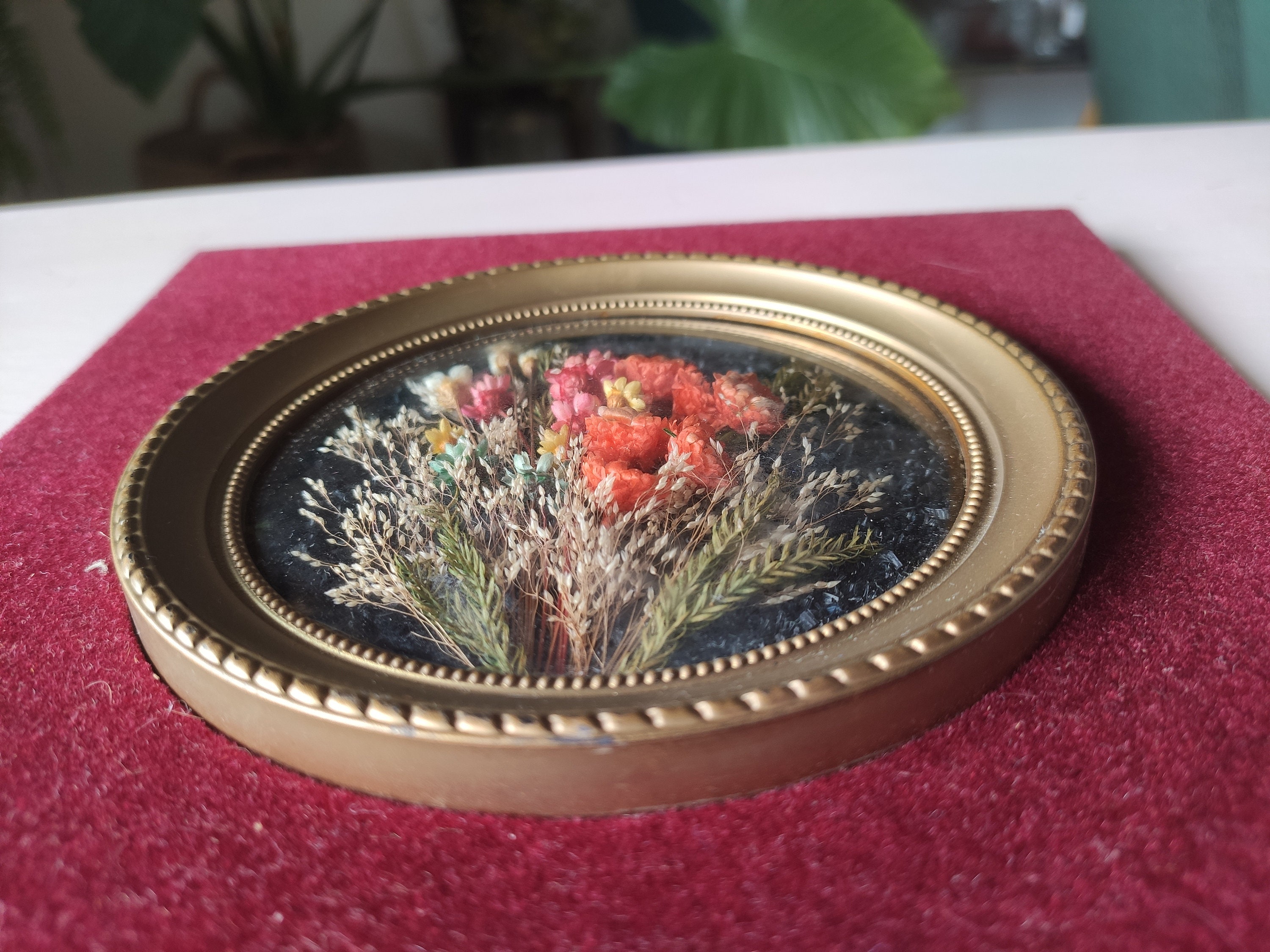 Red Velvet Frame and Dried Flowers Under Curved Glass - Etsy