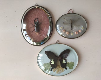 Antique Ornate Gilded Convex Bubble Glass Frame With Eerie Photo of 3 ...