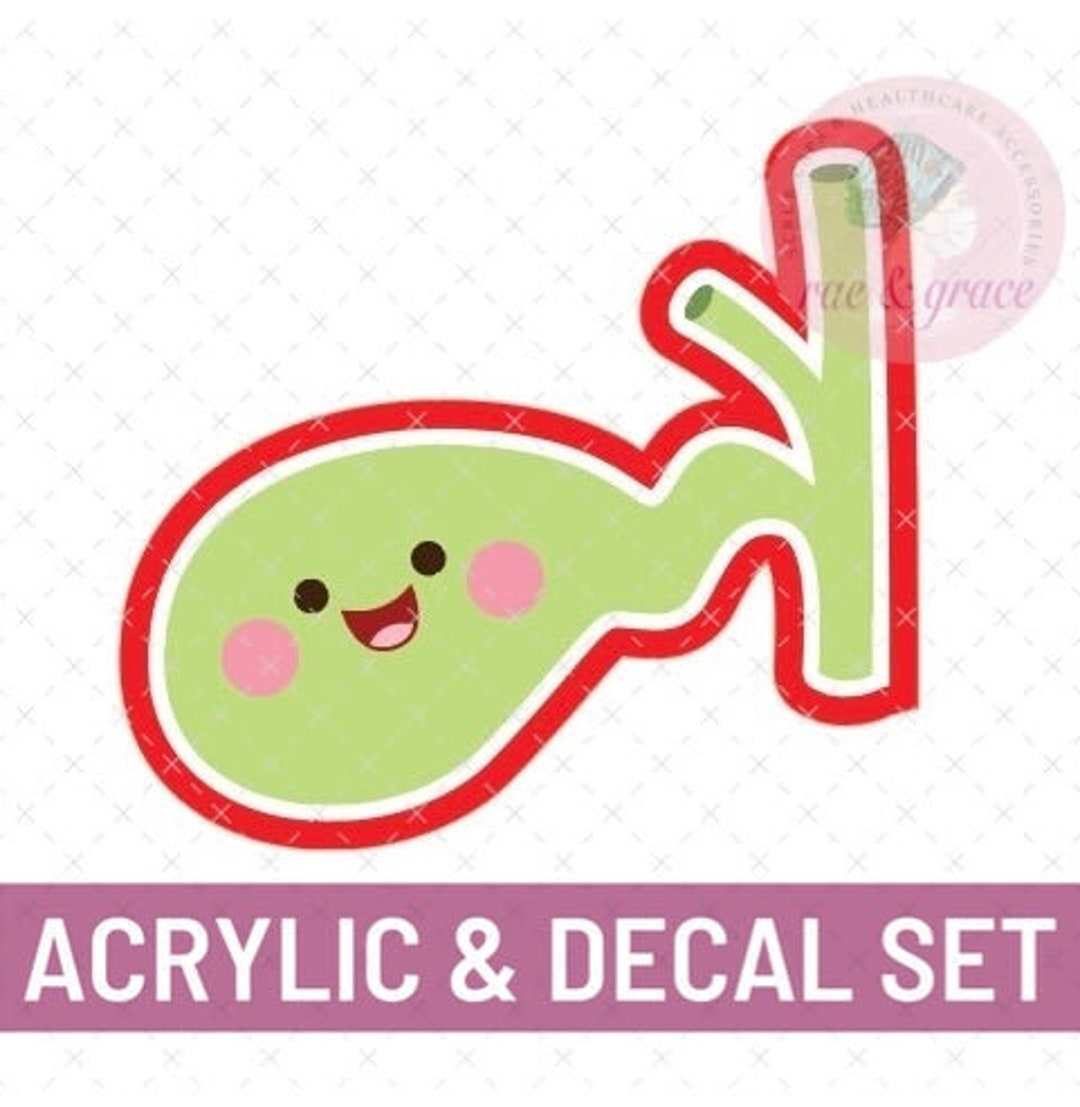 Cute Gallbladder Acrylic & Decal COMBO - Etsy