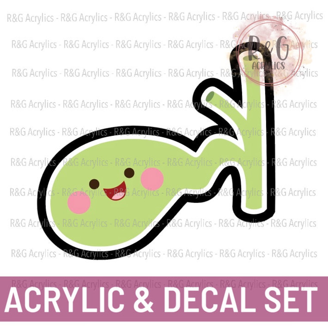 Cute Gallbladder Acrylic & Decal COMBO - Etsy
