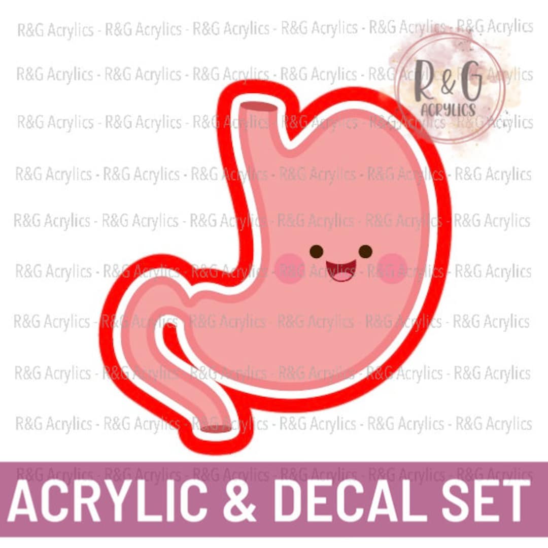 Cute Stomach Acrylic & Decal COMBO - Etsy