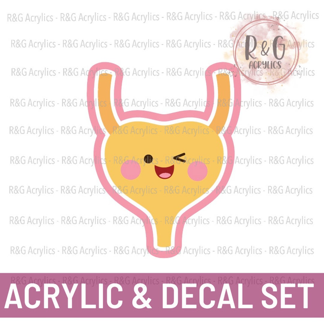 Cute Bladder Acrylic & Decal COMBO - Etsy