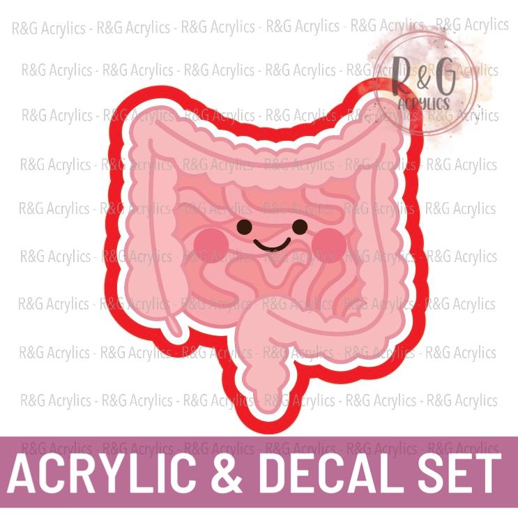 Cute Intestines Acrylic & Decal COMBO - Etsy
