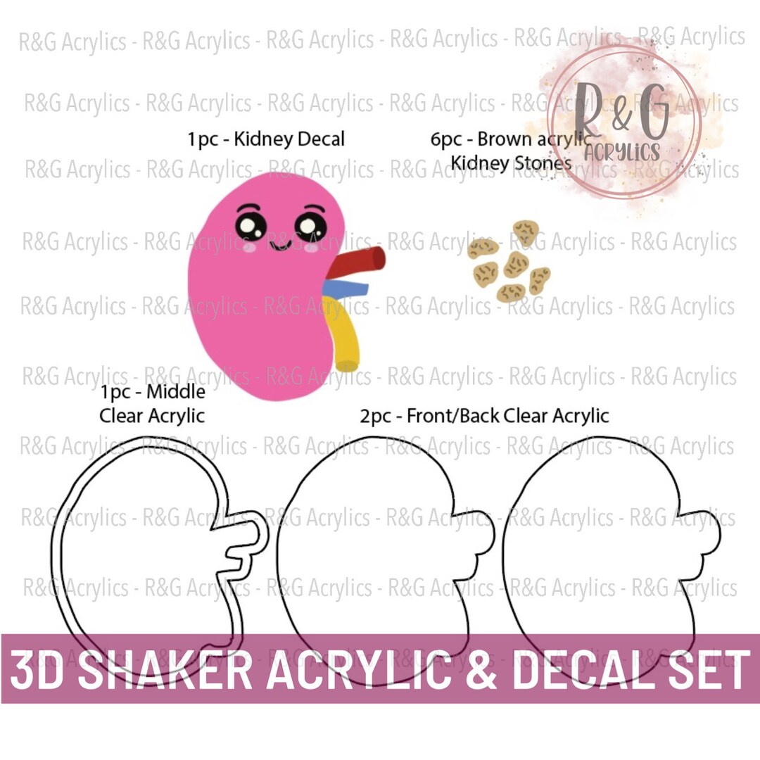 Kidney Stones 3D Shaker Acrylic & Decal COMBO - Etsy