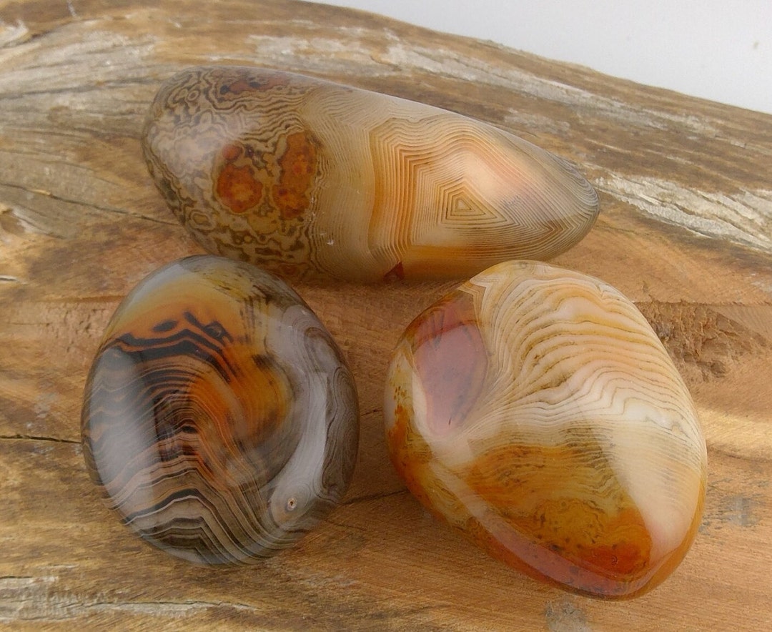 Madagascar Palm Stones, Agate Stones, Healing Stones, Palm Stones ...