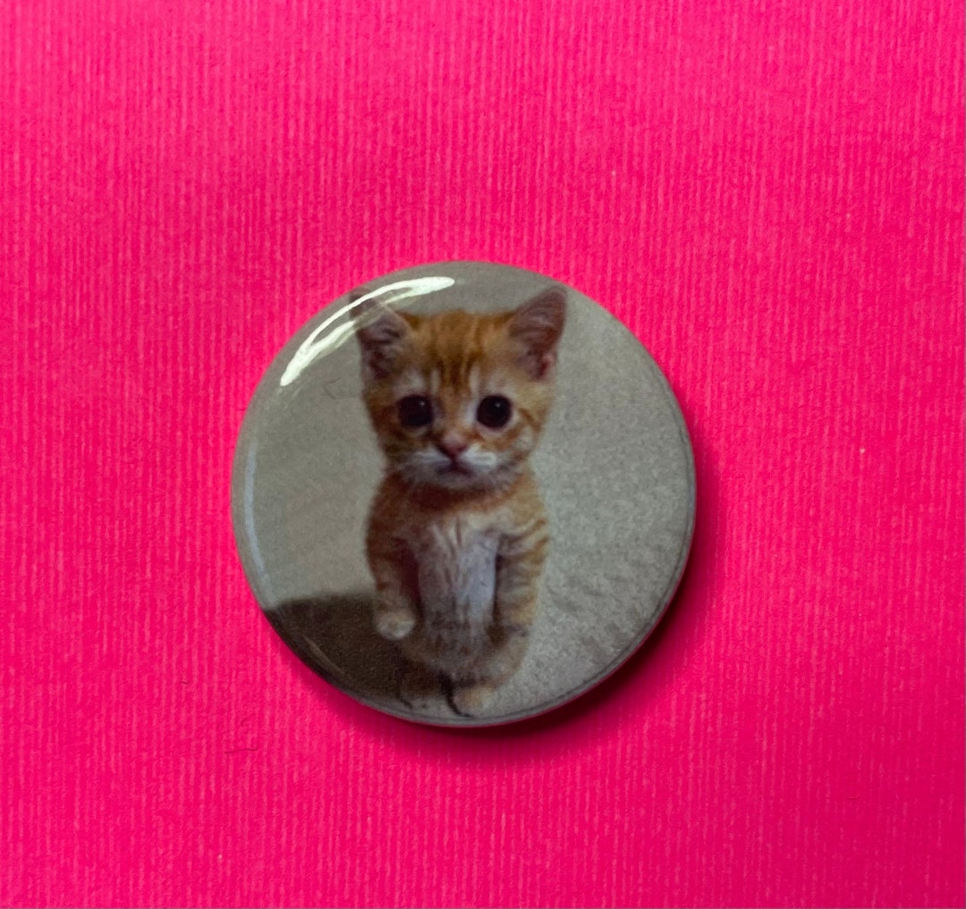 El Gato Meme One Inch Button Badge - Etsy