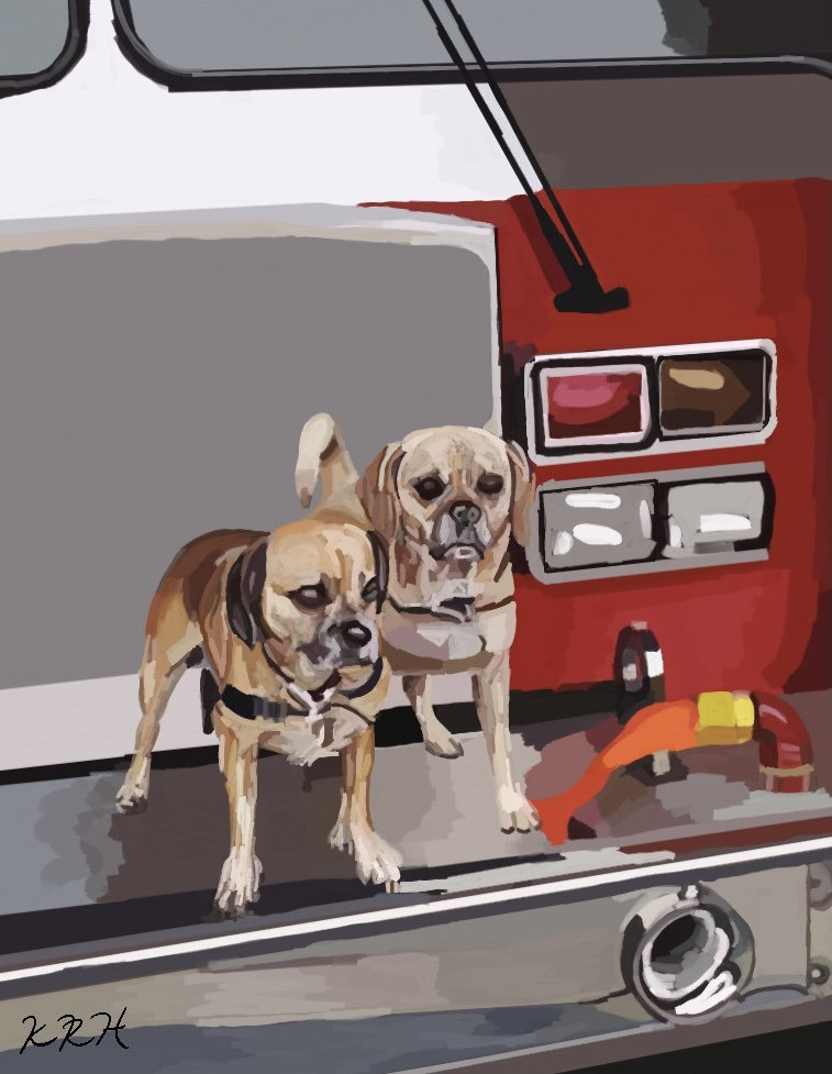 Custom Dog Realistic Drawing, Dog Portrait, Pet Artwork, Original ...