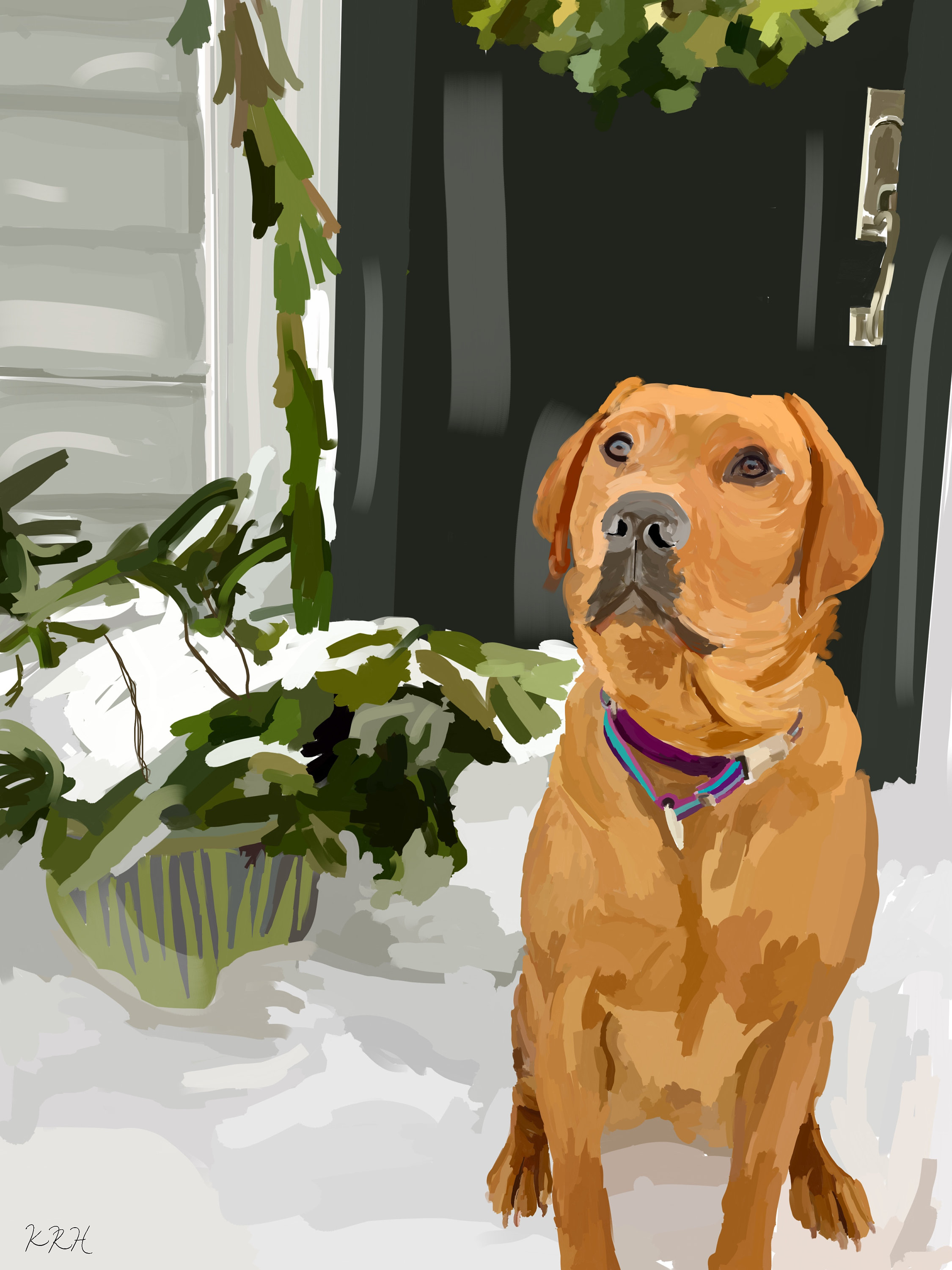 Custom Dog Realistic Drawing, Dog Portrait, Pet Artwork, Original ...