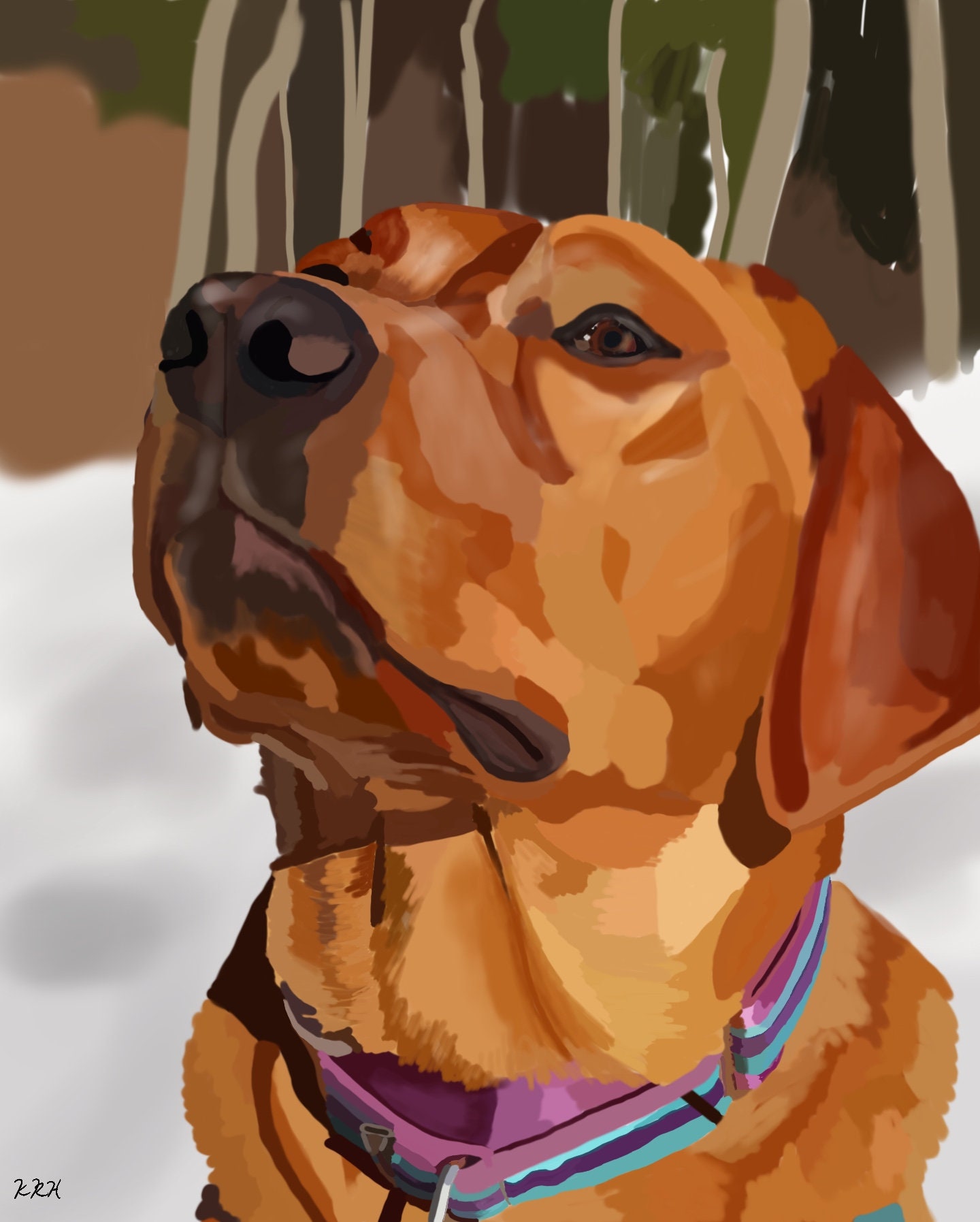 Custom Dog Realistic Drawing, Dog Portrait, Pet Artwork, Original ...