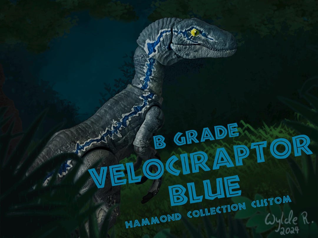 B Grade Blue HC Velociraptor - Etsy