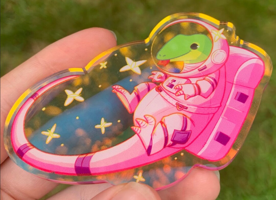 Astronaut Gecko Rainbow Pin - Etsy