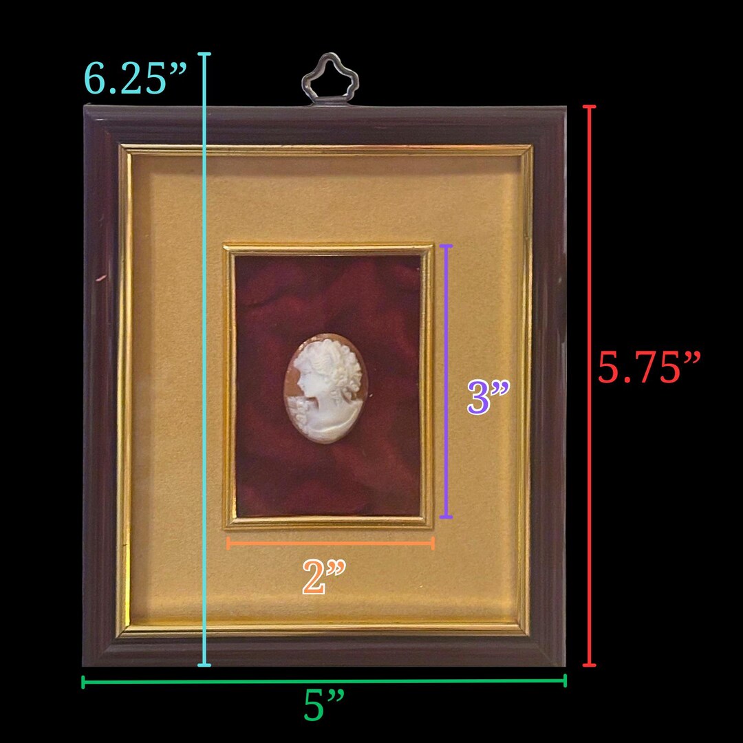 Vintage Genuine Italian Intaglio Cameo Hand Carved SET OF 2 Velvet and ...