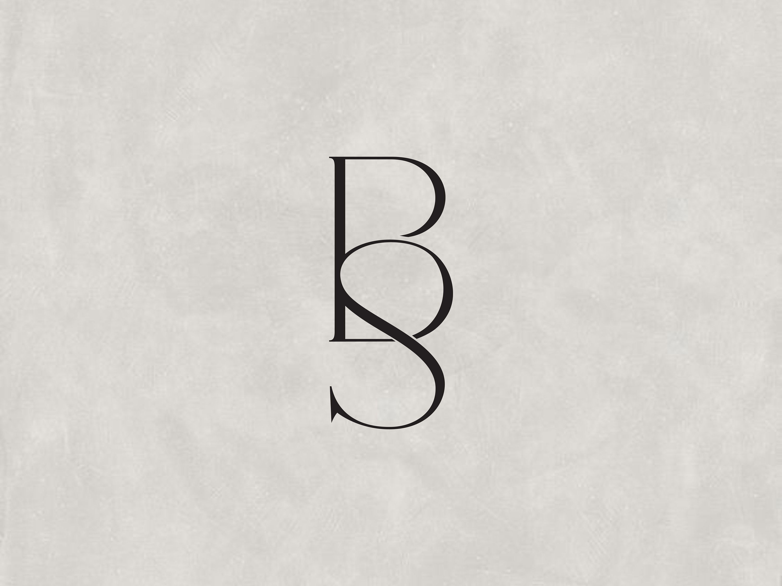 Initials BS Premade Monogram Letter SVG Logo, Personal Branding ...