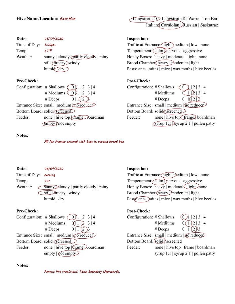 Beehive Inspection Log printable Digital Download - Etsy