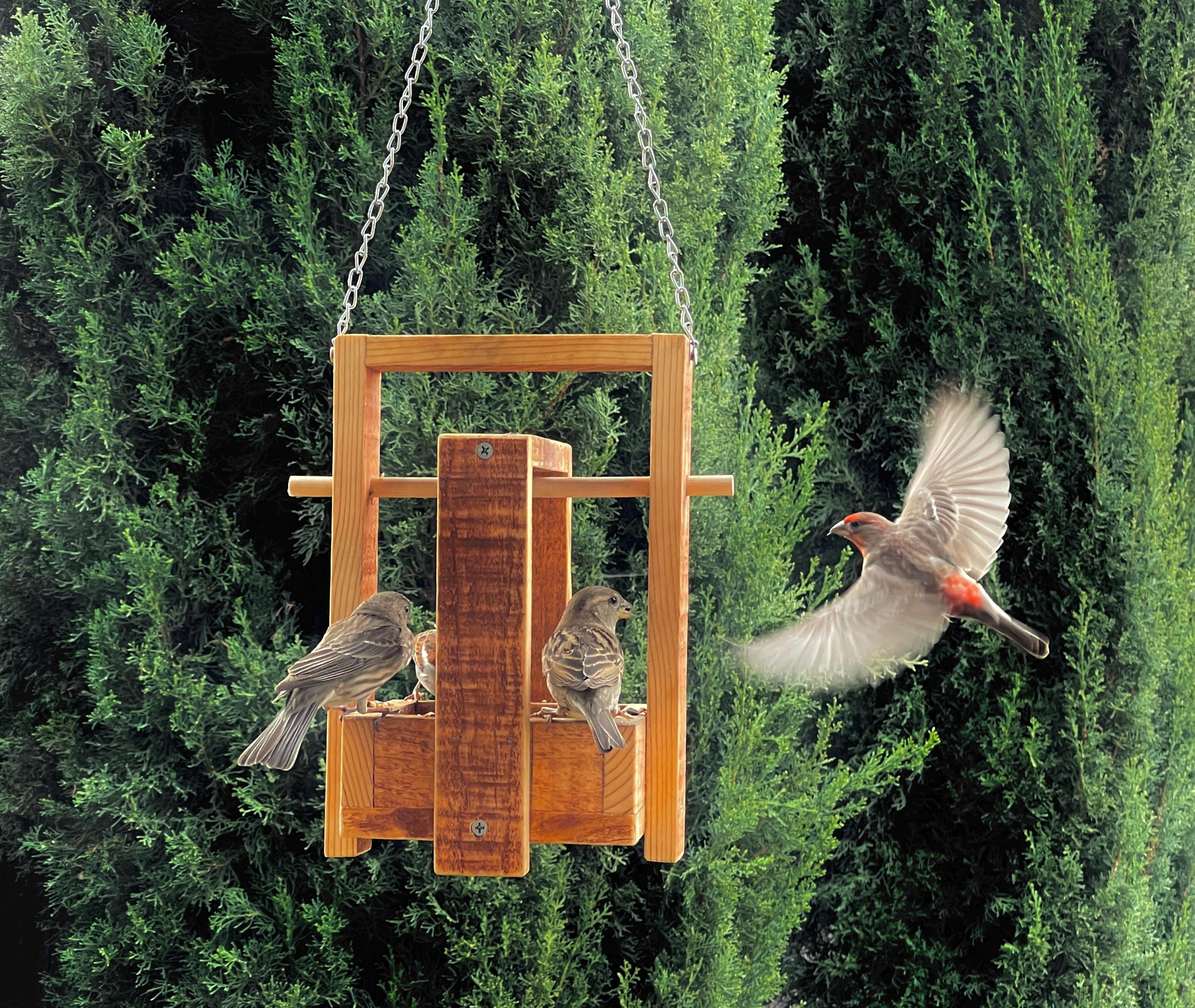 Hanging Stand Wood Bird Feeder Water Resistant Hand Crafted Handmade ...