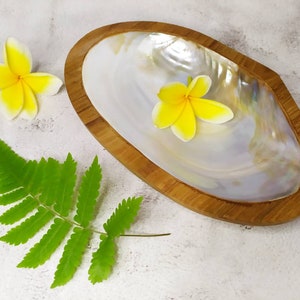 Classic Sea Shell Wooden Platter, Natural Sea Shell Dish, White Capiz ...