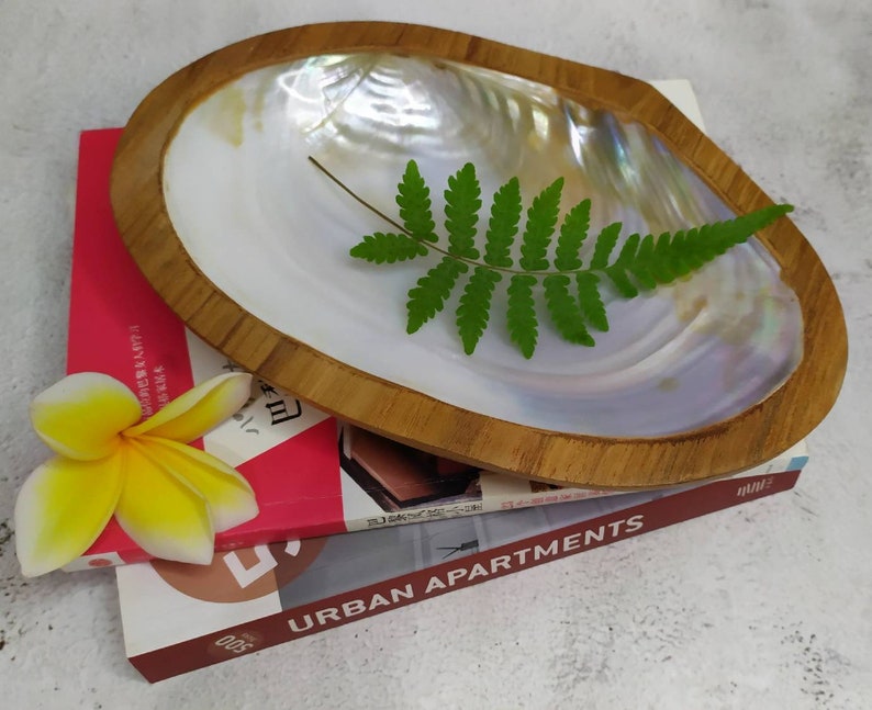 Classic Sea Shell Wooden Platter, Natural Sea Shell Dish, White Capiz ...