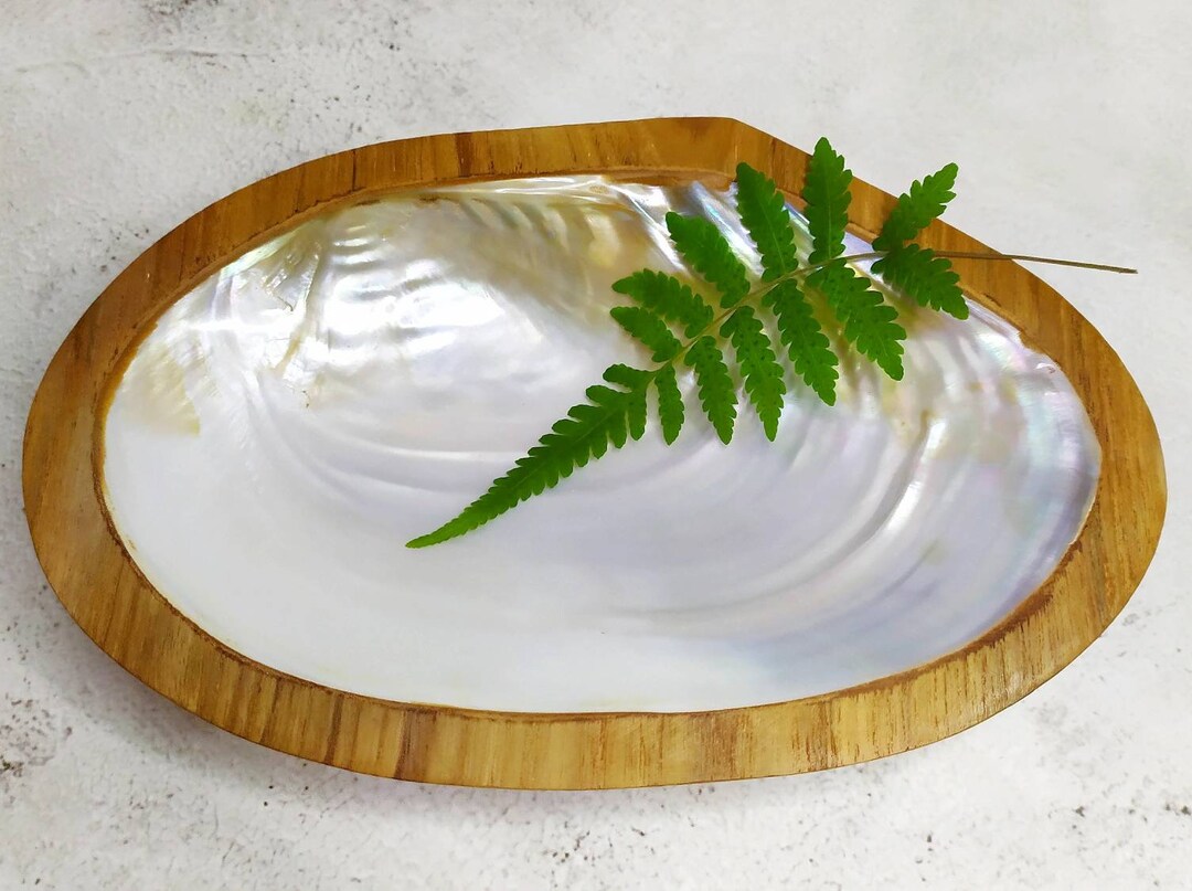 Classic Sea Shell Wooden Platter, Natural Sea Shell Dish, White Capiz ...