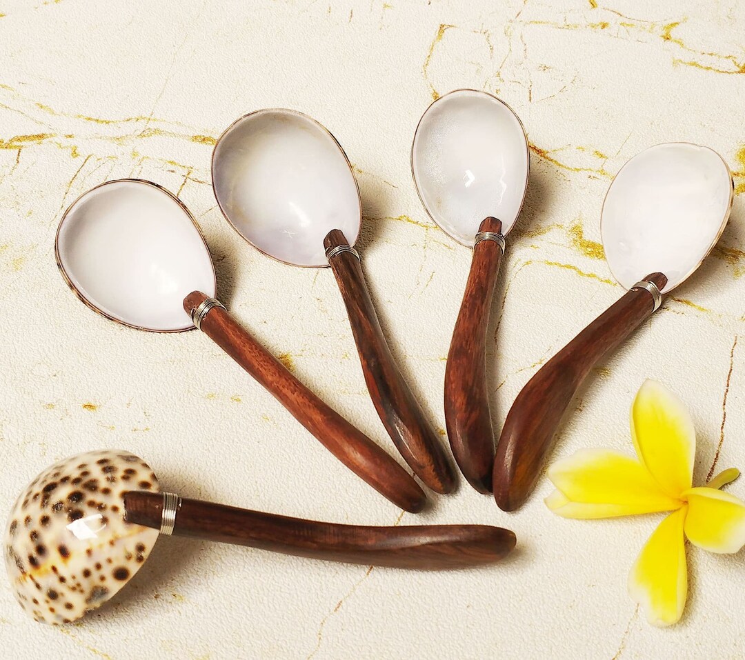 Set of 4/6 Sea Shells Soup Spoon, Shell Utensil, House Warming Gift ...