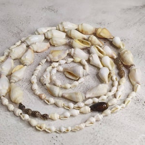 Boho Sea Shell Door Curtain, Beaded Sea Shell Curtain Doorway, Sea ...