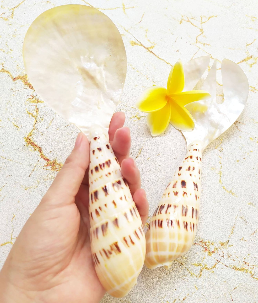 Vintage Sea Shell Spoon Set, Shell Salad Server Set, Shell Serving ...