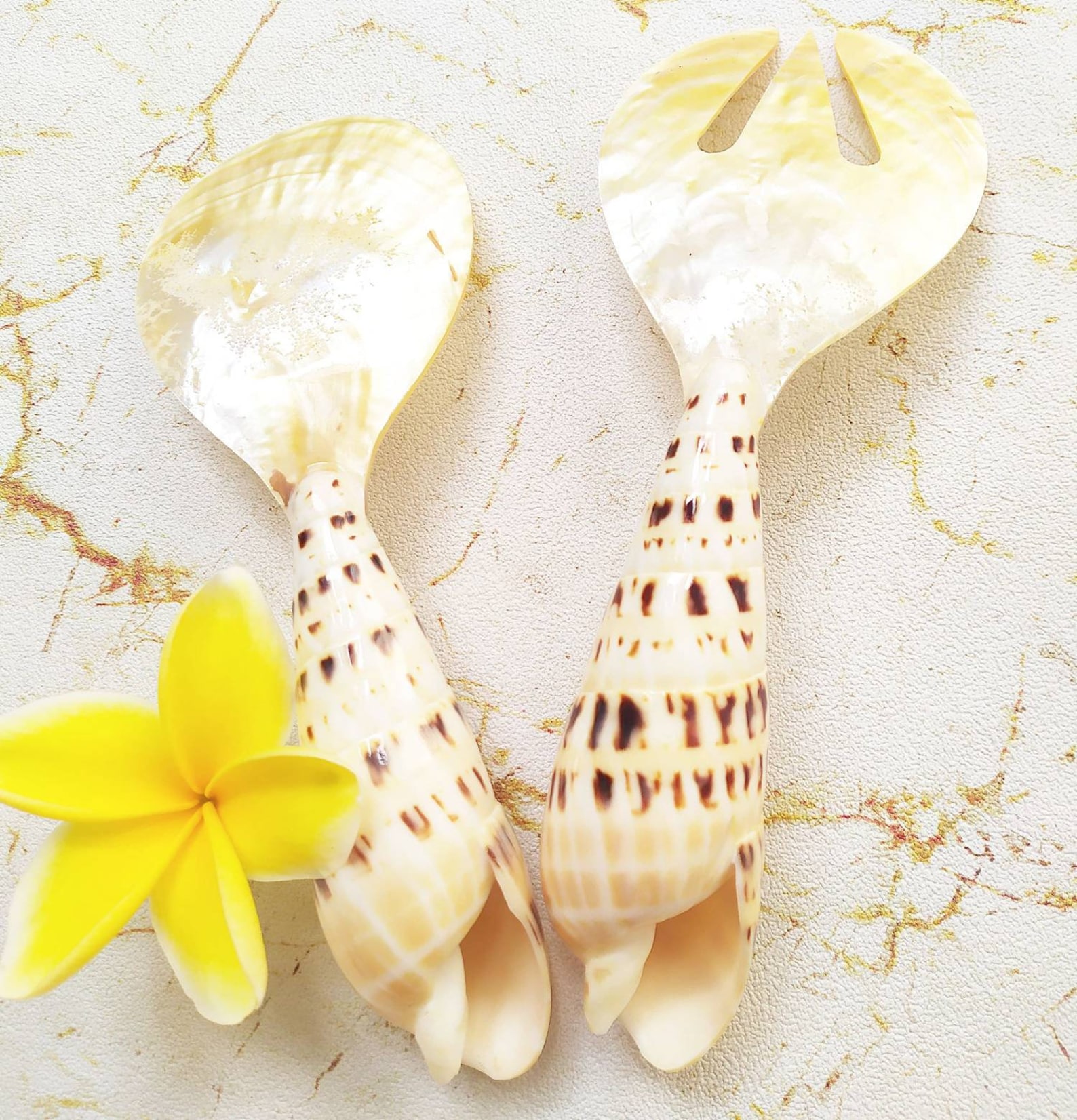 Vintage Sea Shell Spoon Set Shell Salad Server Set Shell - Etsy