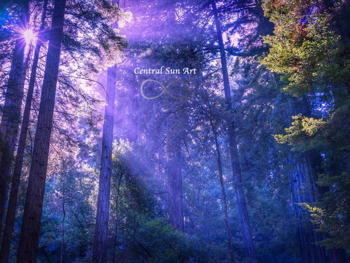 Healing Photo Art Healing Photo Art Prints Art Prints | Etsy