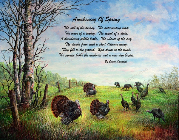 Wild, Turkey, Spring, Strut, Poem, Print, Hunters, Art, Turkey, Scene ...