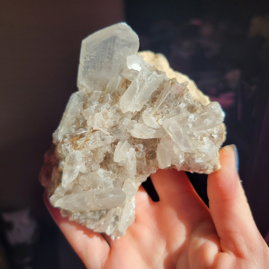 Fish Tail Selenite Crystals on Matrix - Etsy