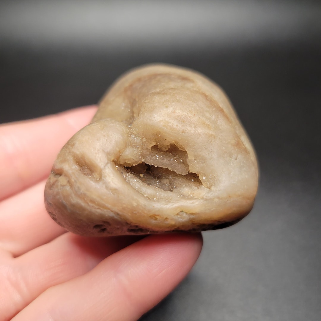 Silicified Stromatoporoid Fossil Specimen From Lake Michigan, Tumbled ...